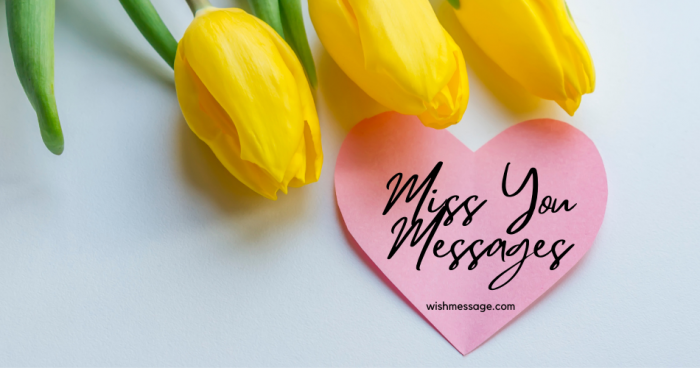 100 Heart Touching Miss You Messages For Special Ones - WishMessage